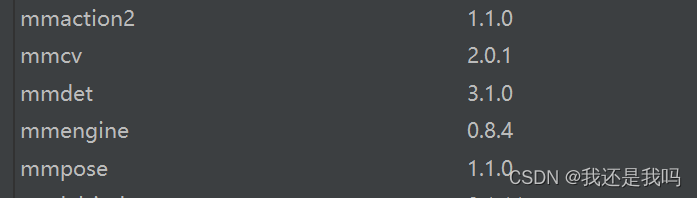 mmaction2自定义ava数据集进行时空动作识别(windows)_python ava数据集动作识别-CSDN博客