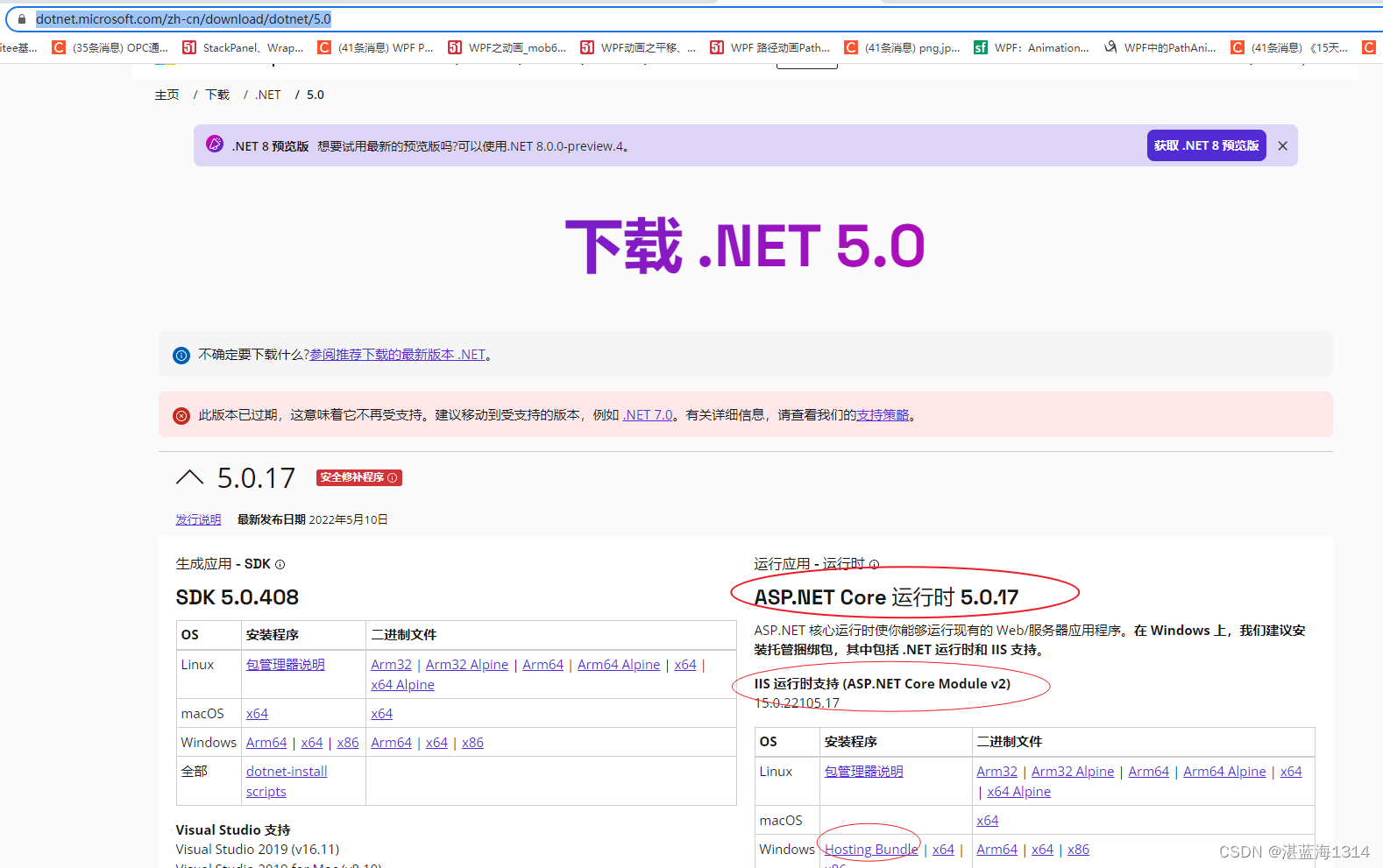 IIS 部署_dotnet-hosting-5.0.17-win-CSDN博客