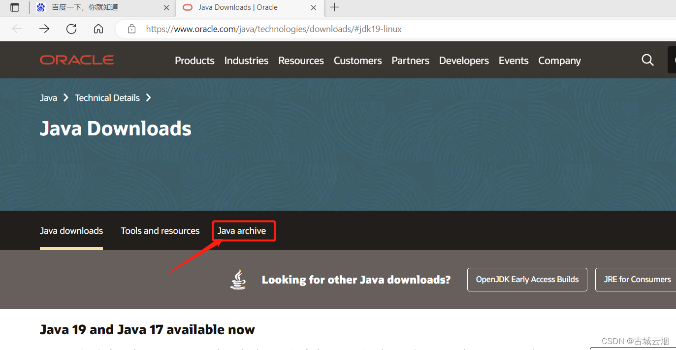 Linux中下载 java 8 安装包 直接看图 简单易操作_java for linux下载-CSDN博客
