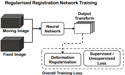 learn2reg-监督、弱监督和监督图像配准_target registration error-CSDN博客