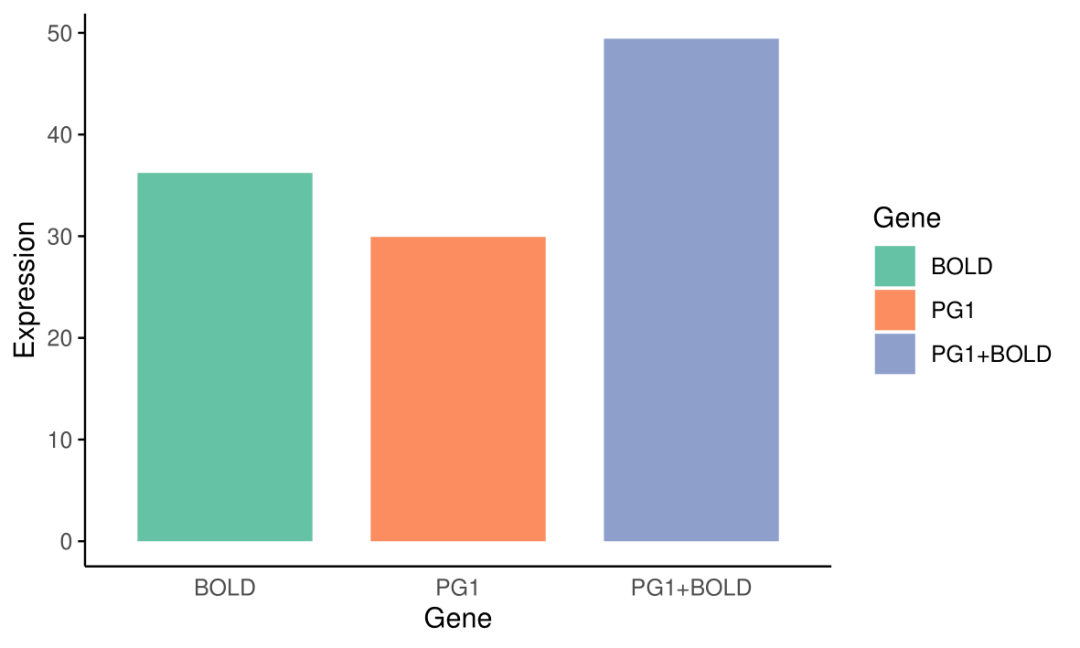 ImageGP | 轻松绘制多种柱状图-CSDN博客