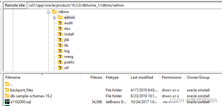 史上最详细的Oracle 所有版本(本文实例为19c)安装sample schemas （ HR, OE, PM, SH, IX, BI ...