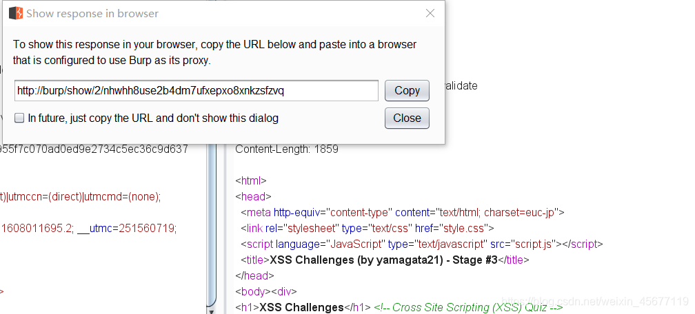 OWASP TOP 10（二）XSS漏洞（概述、PoC、分类、构造、变形绕过、XSS-Filter、xsser、xsstrike）_xss poc-CSDN博客