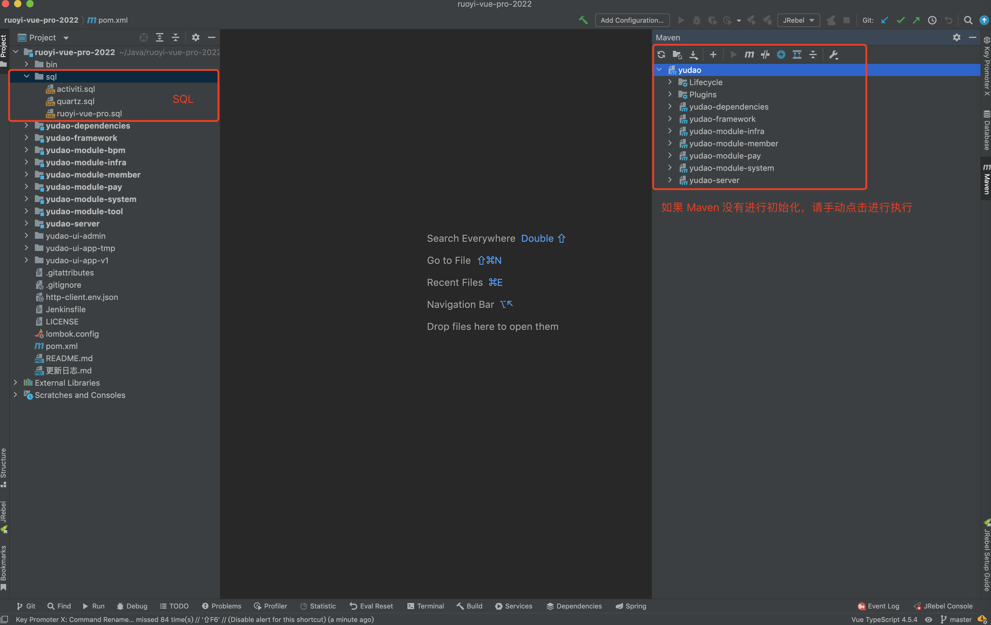 ruoyi-vue-pro部署文档-CSDN博客