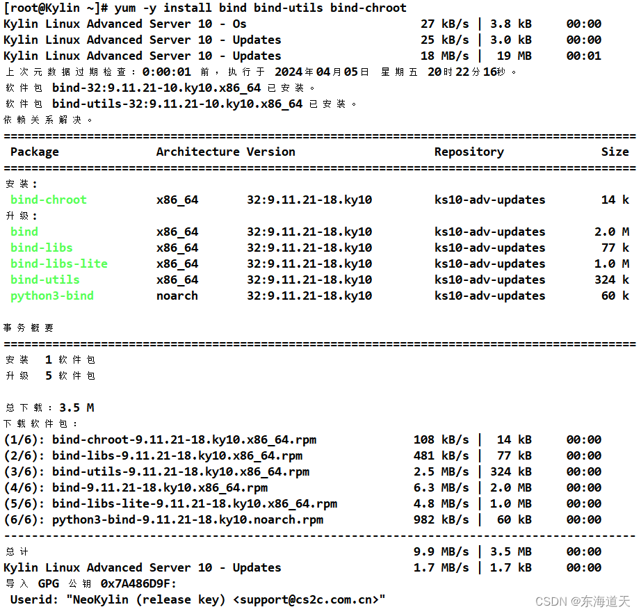 bind与bind-chroot服务配置-CSDN博客