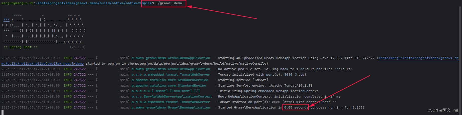 idea使用native-image打包springboot项目-CSDN博客