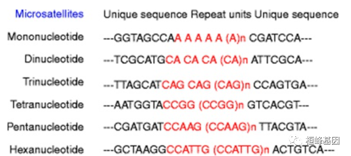 DNA 14. SCI 文章肿瘤微卫星不稳定性计算方法（MSI）-CSDN博客