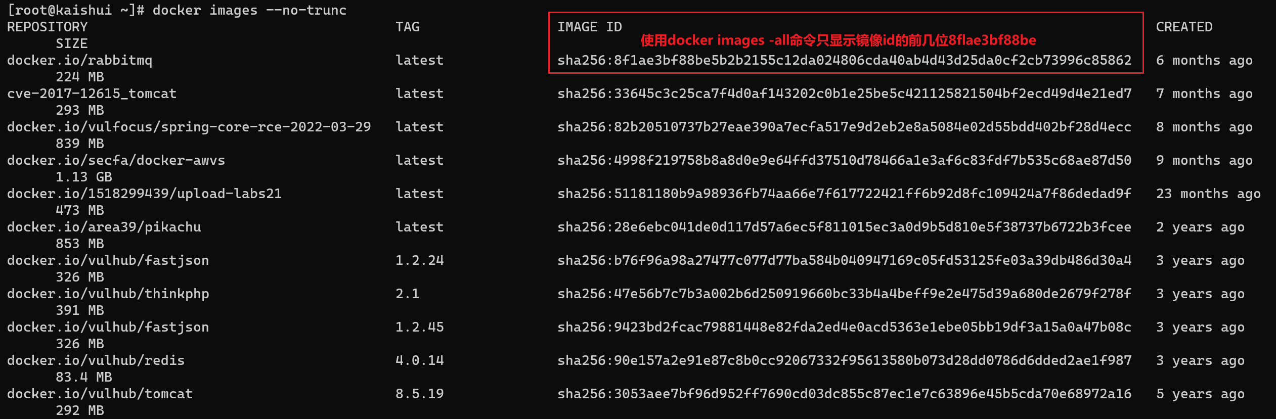 【Linux-Docker】Docker常用命令_linux下docker命令-CSDN博客