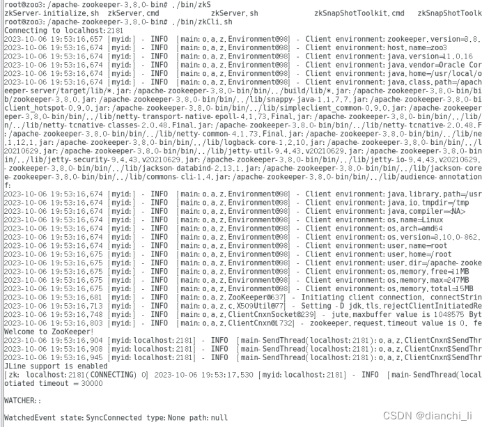 zookeeper集群搭建-CSDN博客
