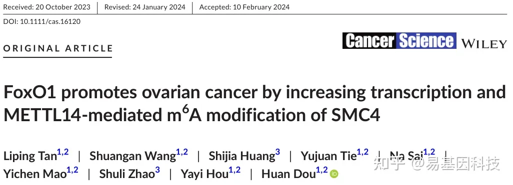 易基因：ChIP-seq等揭示FoxO1增加SMC4转录和METTL14介导m6A修饰以促进卵巢癌发展 | 肿瘤研究_igv中启动子结合预测-CSDN博客