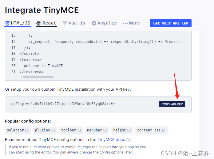 vue3中tinymce5.1.1基础配置、使用api-key、上传图片、自定义按钮，以及付费情况_tinymce apikey-CSDN博客