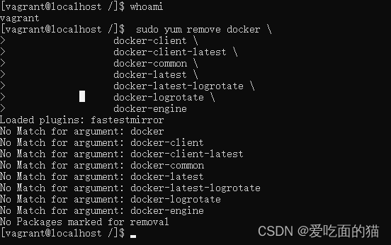 Linux环境Docker的安装过程_linux安装docker-CSDN博客