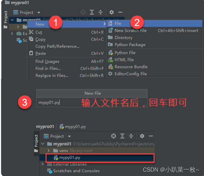 Python在Windows上的安装与IDLE/PyCharm开发环境入门,-CSDN博客