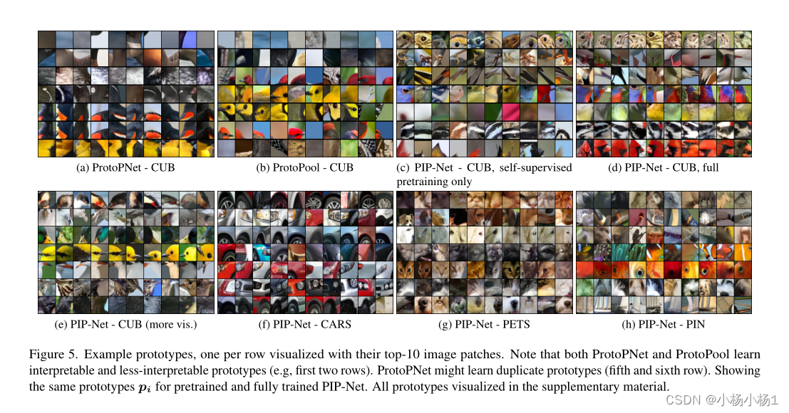 PIP-Net：用于可解释图像分类的基于patch的直观原型_pipnet-CSDN博客