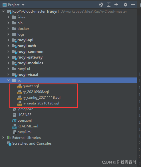ruoyi-cloud 使用笔记_ruoyi-cloud-plus 访问doc-CSDN博客