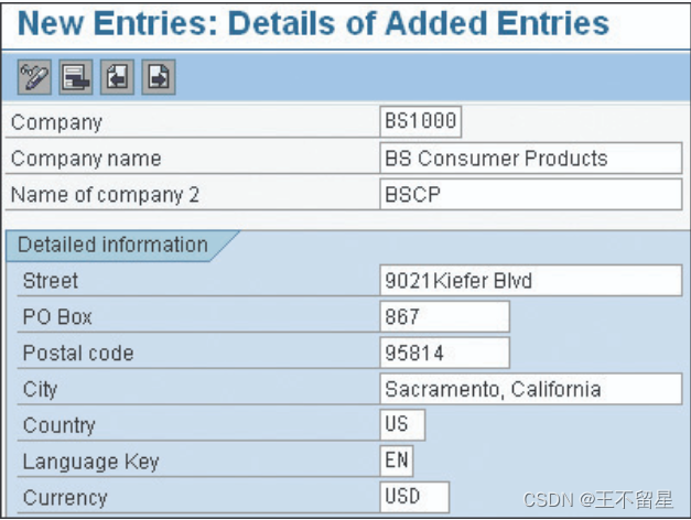 SAP 如何创建Company-公司_sap上增加一家子公司-CSDN博客