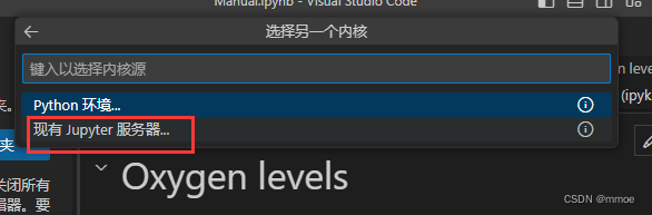 Jupyter Notebook服务器配置vscode使用vscode Jupyter Notebook 服务器 Screen Csdn博客