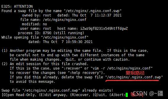 nginx报错：Swap file “/etc/nginx/.nginx.conf.swp“ already exists_swap file ".nginx.conf.swp ...