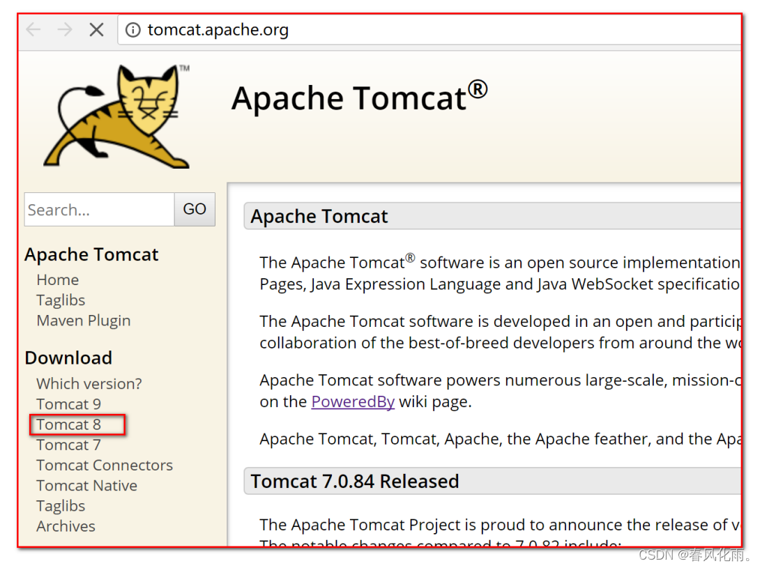 tomcat介绍,安装和使⽤_tomcat8.0-CSDN博客