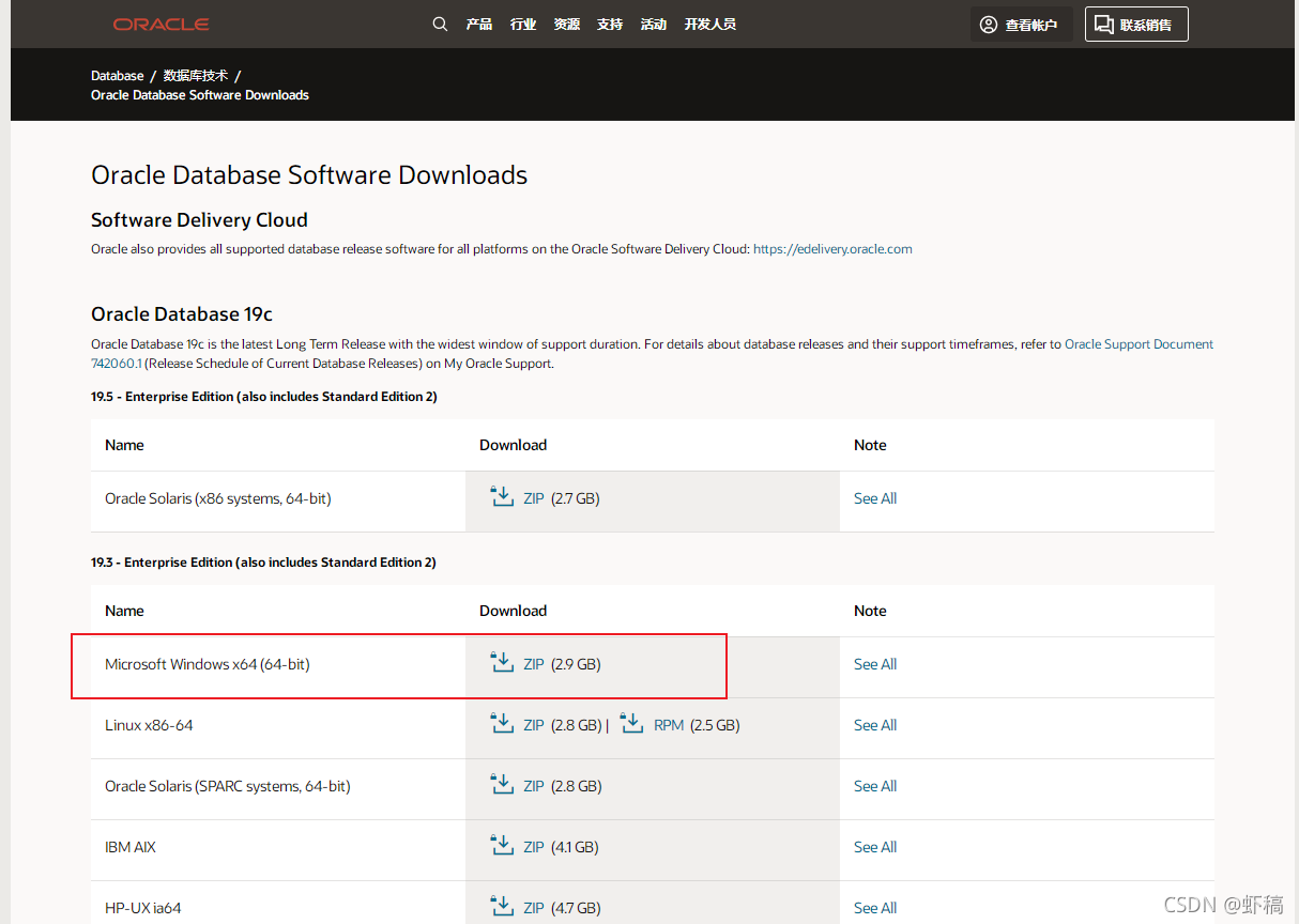 Oracle 数据库安装(19c,SQL Developer,PL/SQL Developer)-CSDN博客