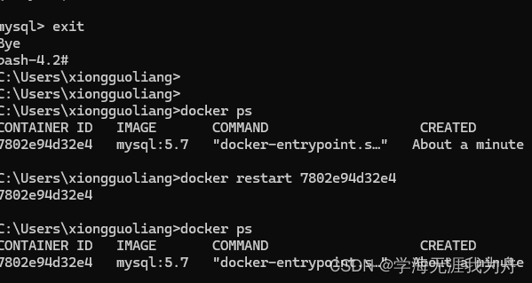 Docker安装启动mysql Docker启动mysql Csdn博客
