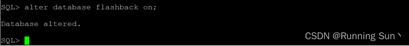 Oracle闪回详解（闪回查询，闪回数据，回退数据，闪回表，闪回数据库，闪回快照，闪回主备库（恢复关系），闪回归档，注意事项，有关闪回常用查询命令）oracle 闪回 Csdn博客