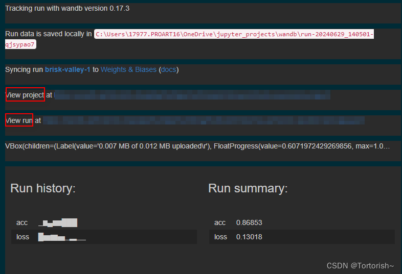 大模型训练及评估可视化工具wandb入门指南_wandb使用教程-CSDN博客