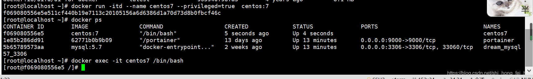 docker内服务无法设置自启动的问题：Failed to get D-Bus connection: Operation not permitted解决方案_docker failed to ...