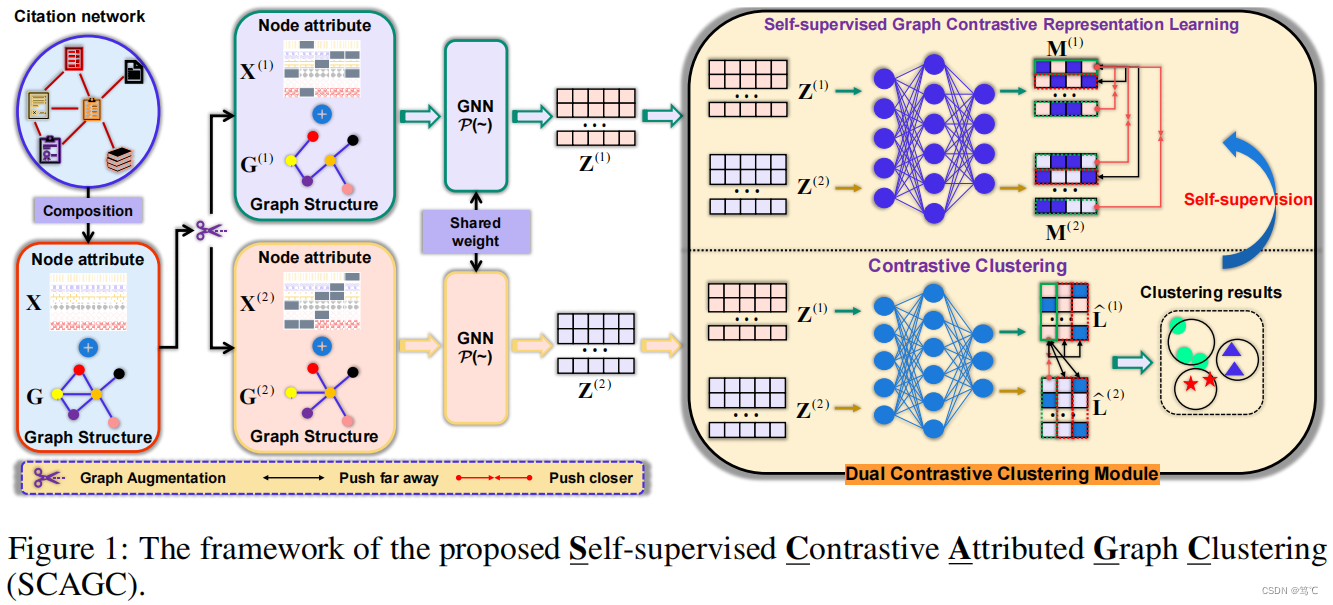 论文阅读--Self-supervised Contrastive Attributed Graph Clustering-CSDN博客