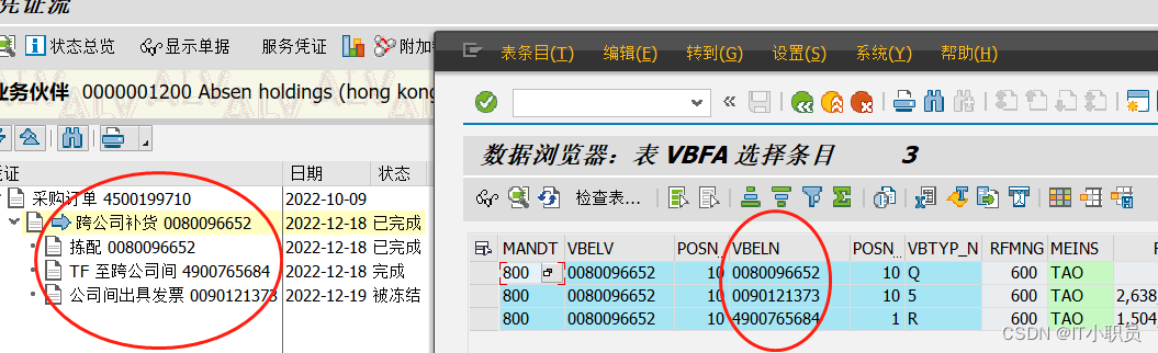 VA03、VL03N、VF03 事务代码的凭证流数据储存表VBFA及相关查询BAPI函数_sap vbfa-CSDN博客