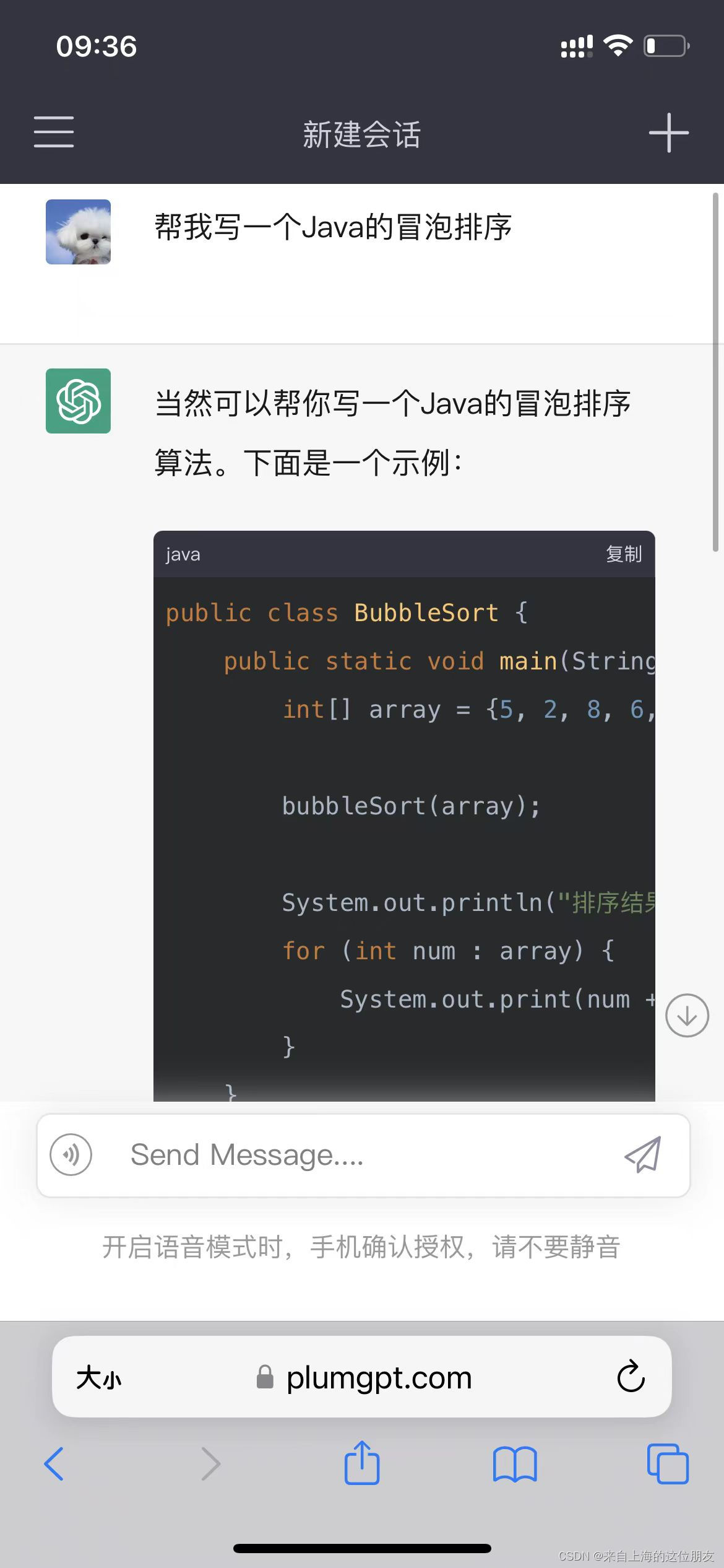 Plum-GPT 开源部署（保姆级详细教程）_java 开源 gpt-CSDN博客
