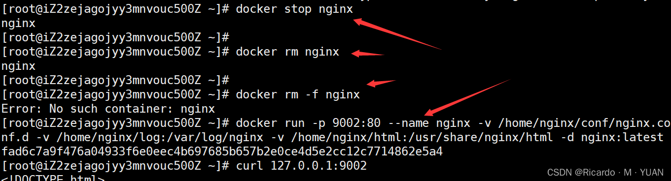 Docker安装Nginx（图文详解版）_docker安装nginx详解-CSDN博客