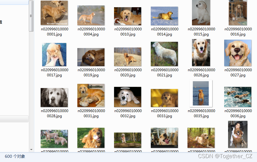 基于迁移学习的mini-imagenet数据分类实践_imagenet数据集分类识别-CSDN博客