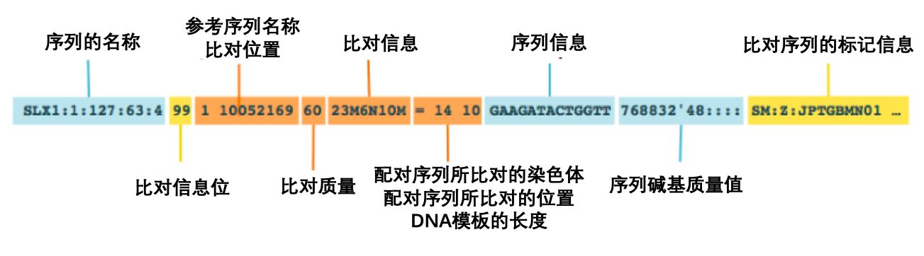 FASTQ! BAM! VCF_fastq转vcf-CSDN博客