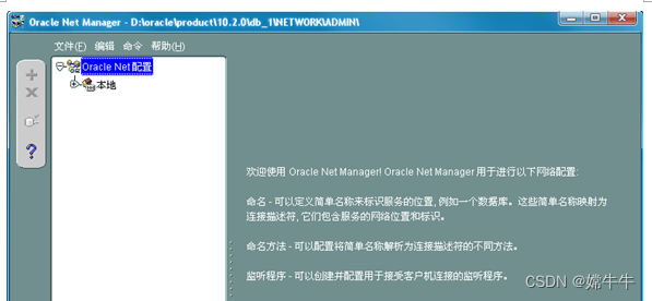 Oracle NetConfigurationAssistant与NetManager配置详解-CSDN博客