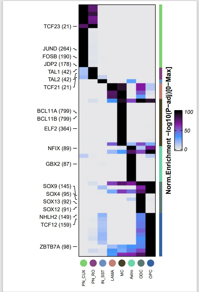 marker基因注释热图可视化函数（视频教程-通用函数）_findallmarkers-CSDN博客