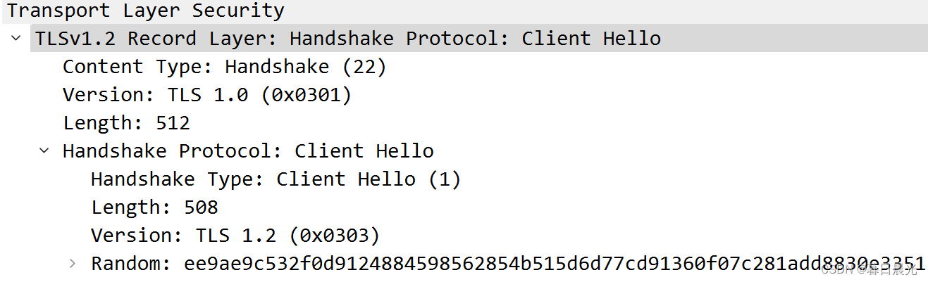 关于 TLS Client_Hello 版本的问题分析_client hello报文-CSDN博客