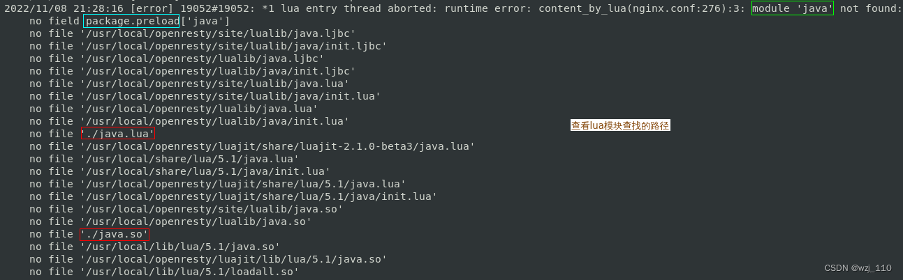 Openresty(二十)加载lua文件的一些细节_openresty 加载模块-CSDN博客