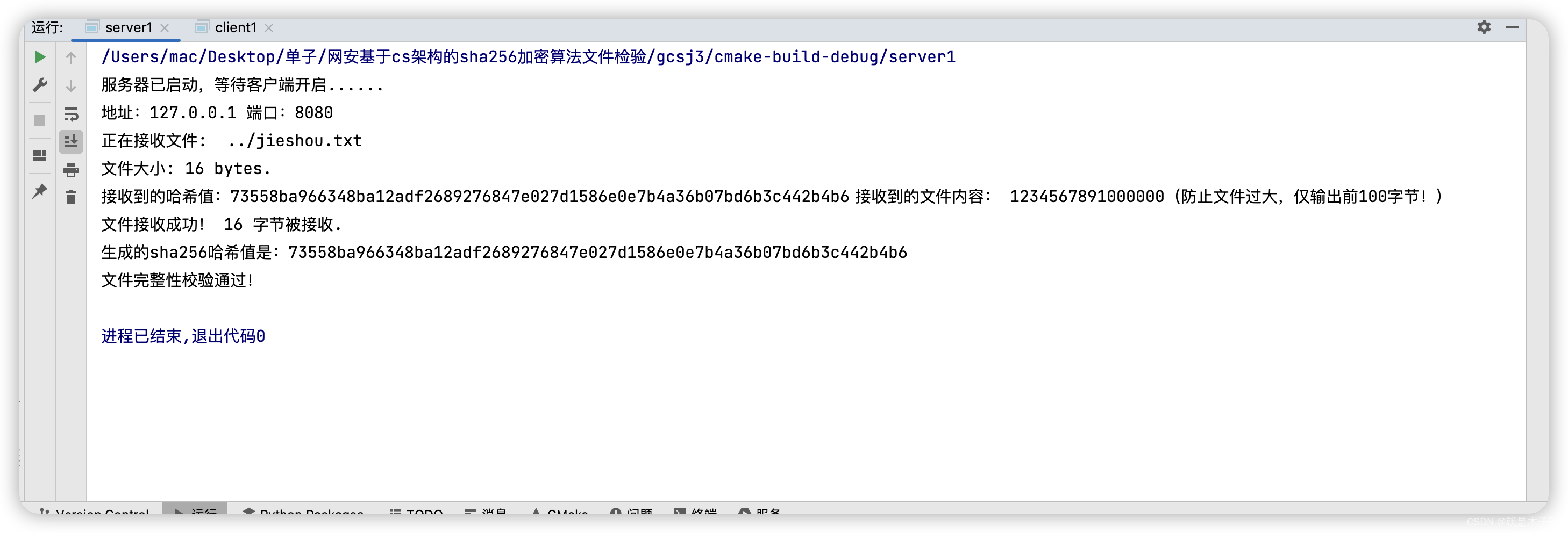基于 CS 模式 的SHA-256 算法文件完整性程序_sha256验证文件完整性-CSDN博客