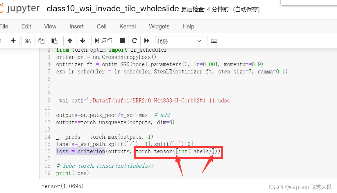 torch的tensor，在用loss = criterion(outputs,label)，dimension specified as 0 but tensor has no ...