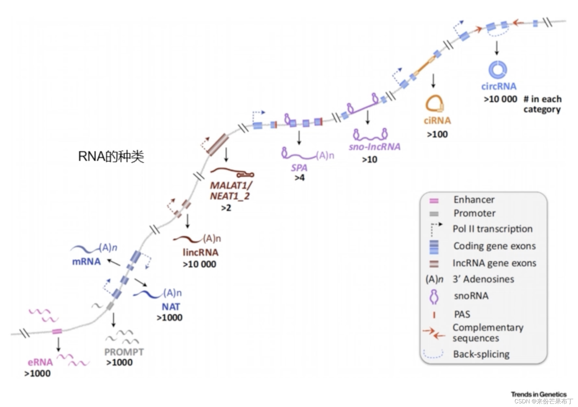 RNA-seq分析流程：从质控到差异表达,-CSDN博客