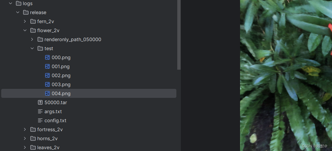DSNeRF复现流程-CSDN博客