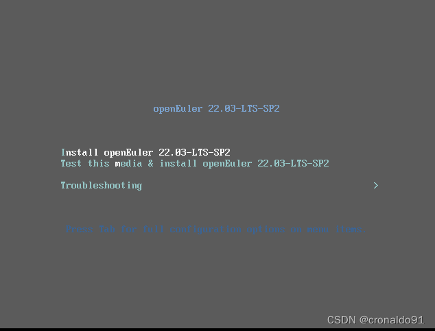Linux系统管理：虚拟机OpenEuler安装_虚拟机安装openeuler-CSDN博客