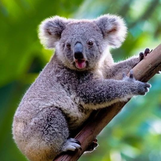 实战来了，如何基于DDD实现订单创建？_订单系统 ddd-CSDN博客