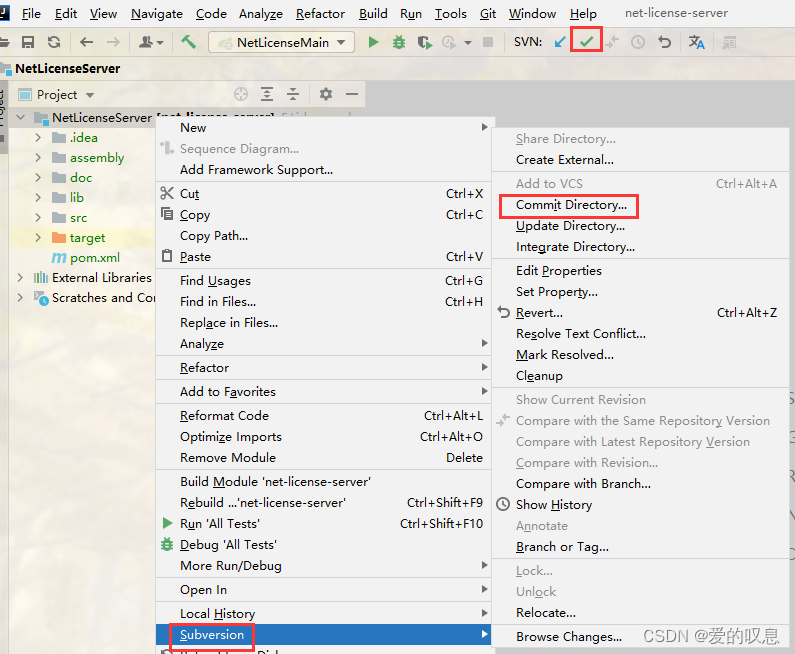 IDEA关于svn版本管理的两个选项Import Into Subversion...和Share Project(Subversion)...那区别是啥？今天一探究竟-CSDN博客