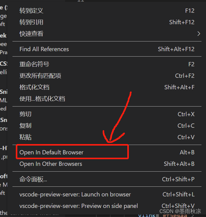 解决Visual Studio Code里Open browser failed Please check if you have installed the browser ...