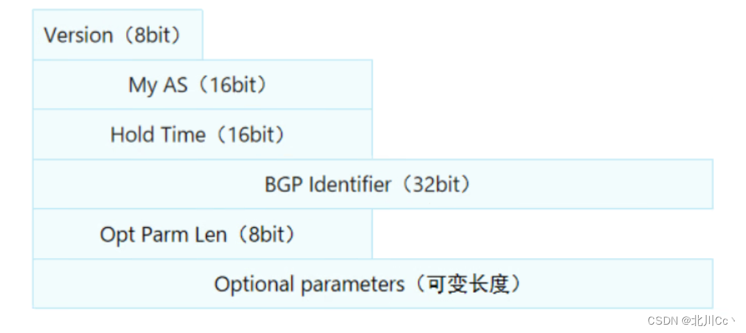 BGP边界网关协议详解：AS划分、协议演进与路由交互-CSDN博客