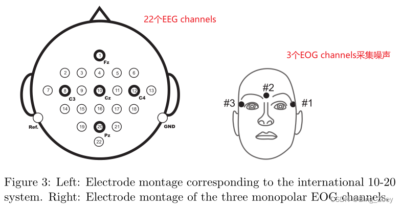 [BCIC IV 2a] 数据集介绍_bci competition iv数据集-CSDN博客