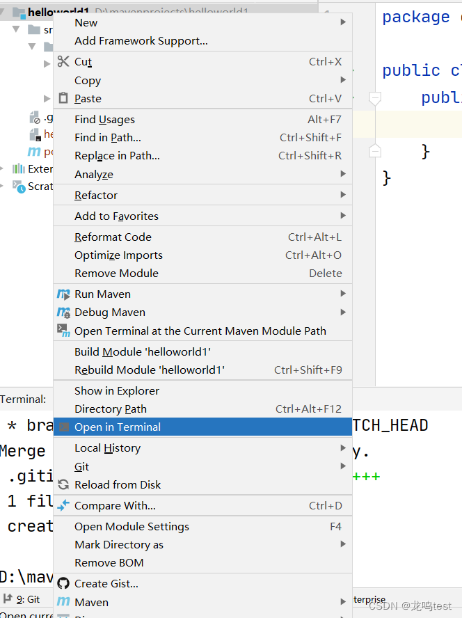 git在idea里push reject-CSDN博客