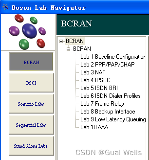 Netsim网络模拟器的使用_boson netsim-CSDN博客